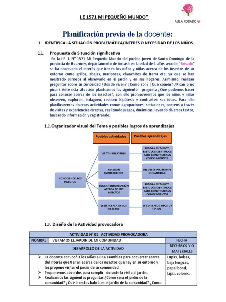 Actividades Del Proyecto Insectos Keny Paola Pdf Evaluación