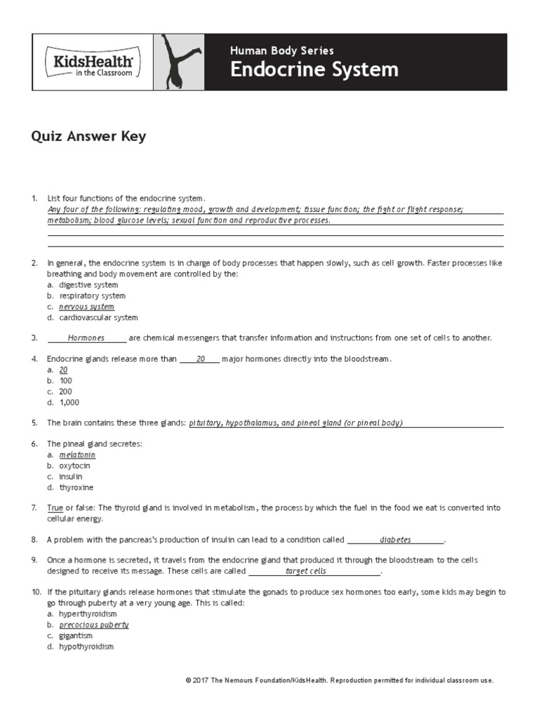 Endocrine Quiz Answers | PDF