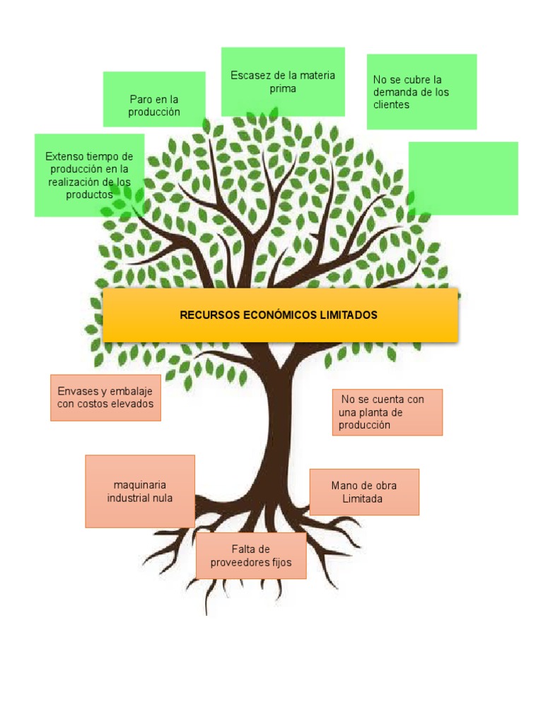 Arbol de Problemas Ejemplo | PDF