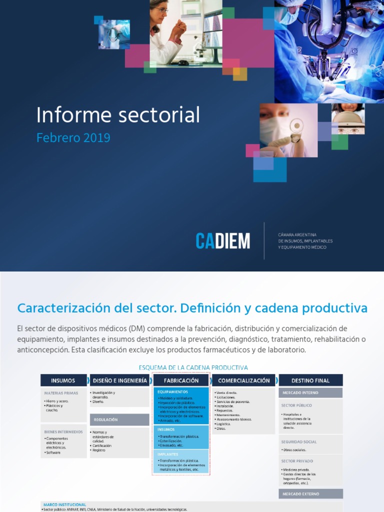 Informe-Sectorial 2019 CADIEM | PDF | Pequeñas y medianas empresas ...
