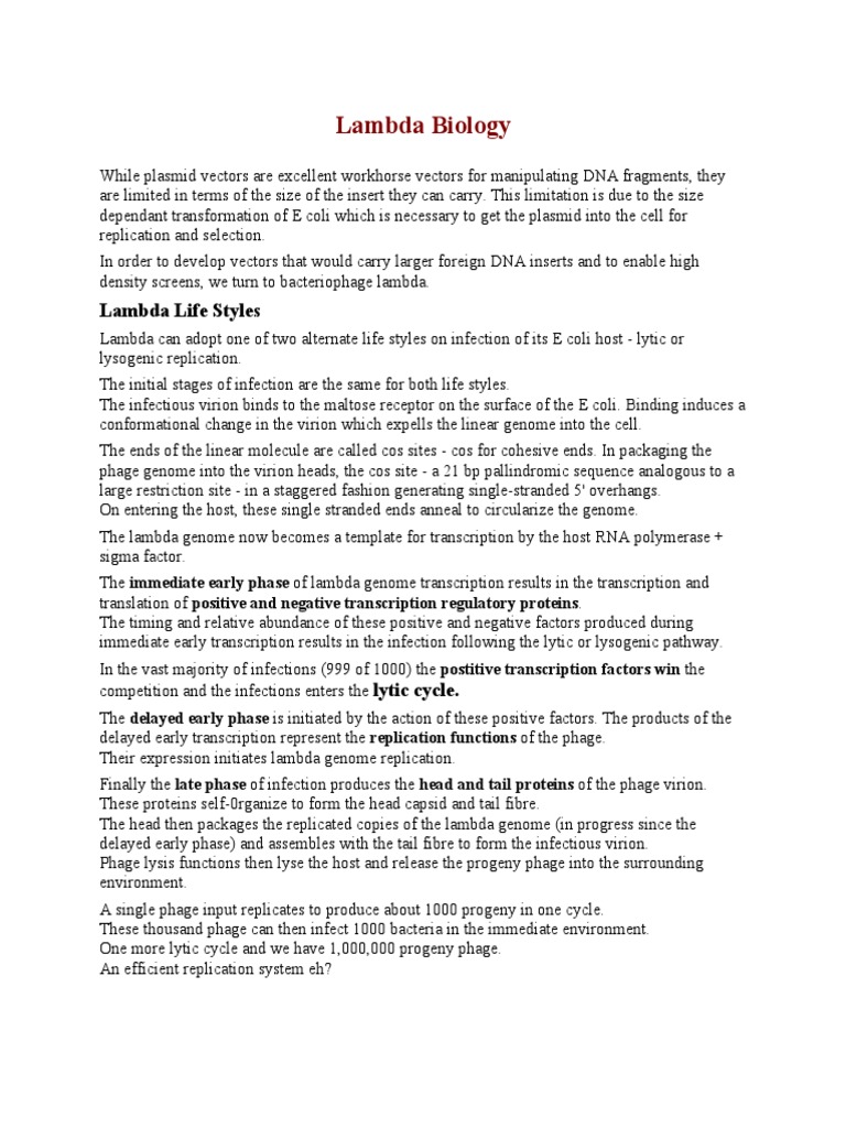 Lambda Biology | PDF | Bacteriophage | Virus