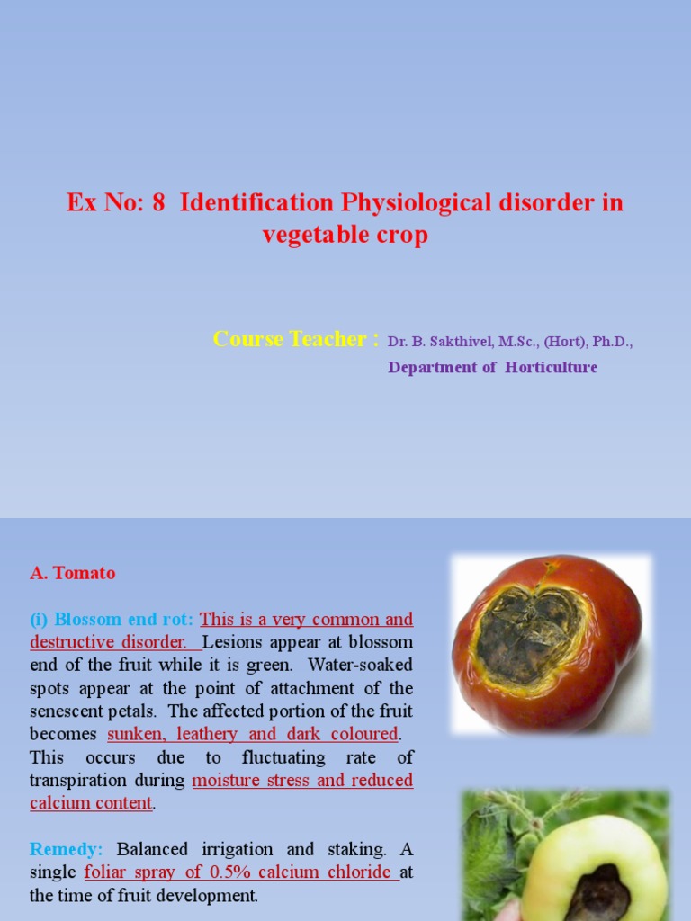 Identification Physiologyical Disorder in Vegetable Crops New | PDF ...