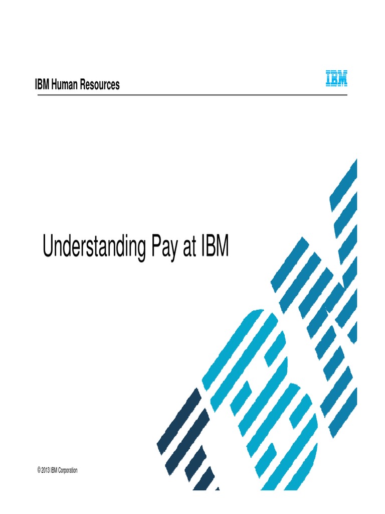 Compensation Program Ibm Pdf Incentive Employment