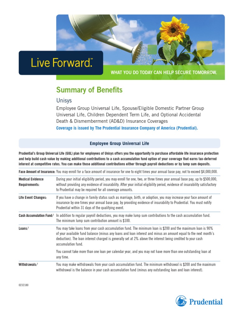 Unisys Plan Summary | PDF | Life Insurance | Insurance