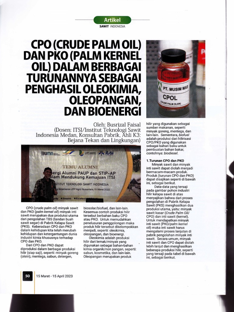 Turunan CPO & PKO: Oleokimia & Bioenergi | PDF | Teknologi & Rekayasa