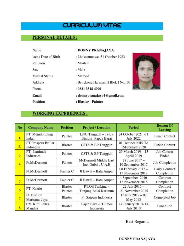 CURRICULUM VITAE Donny Pranajaya Okey | PDF