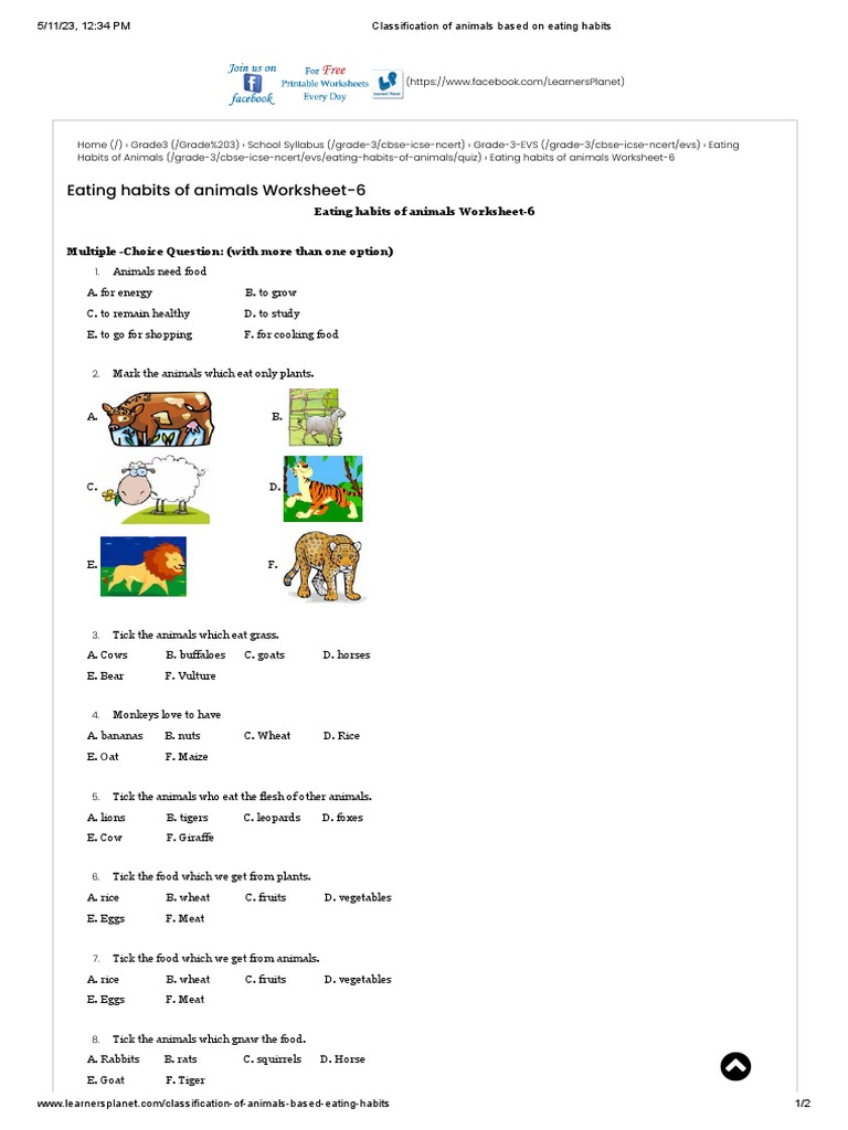 Animal Classification by Eating Habits | PDF | Food And Drink | Organisms