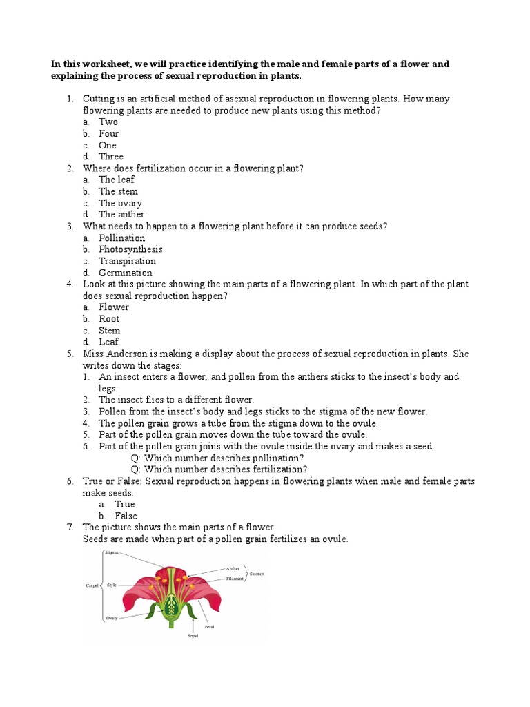Sexual Reproduction in Plants | PDF | Flowers | Plant Reproduction