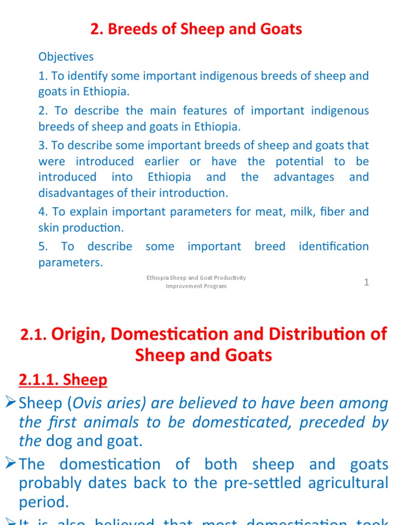 Breeds of Sheep and Goats | PDF | Sheep | Goat