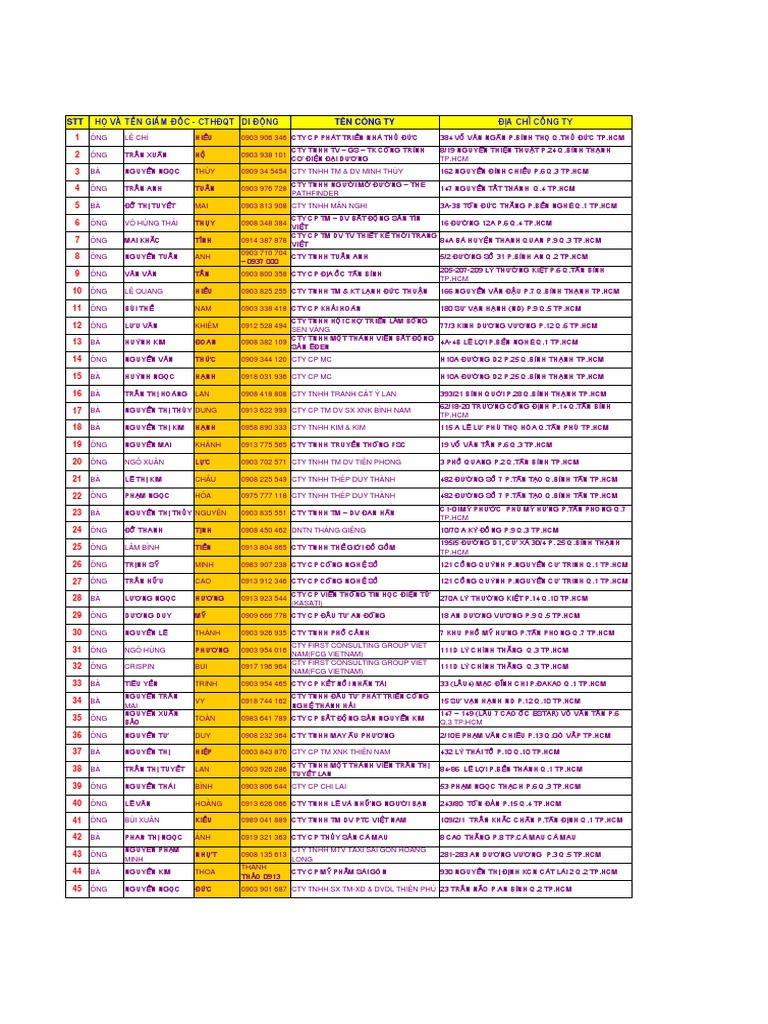 Cac Cty Lon HCM Q1 | PDF