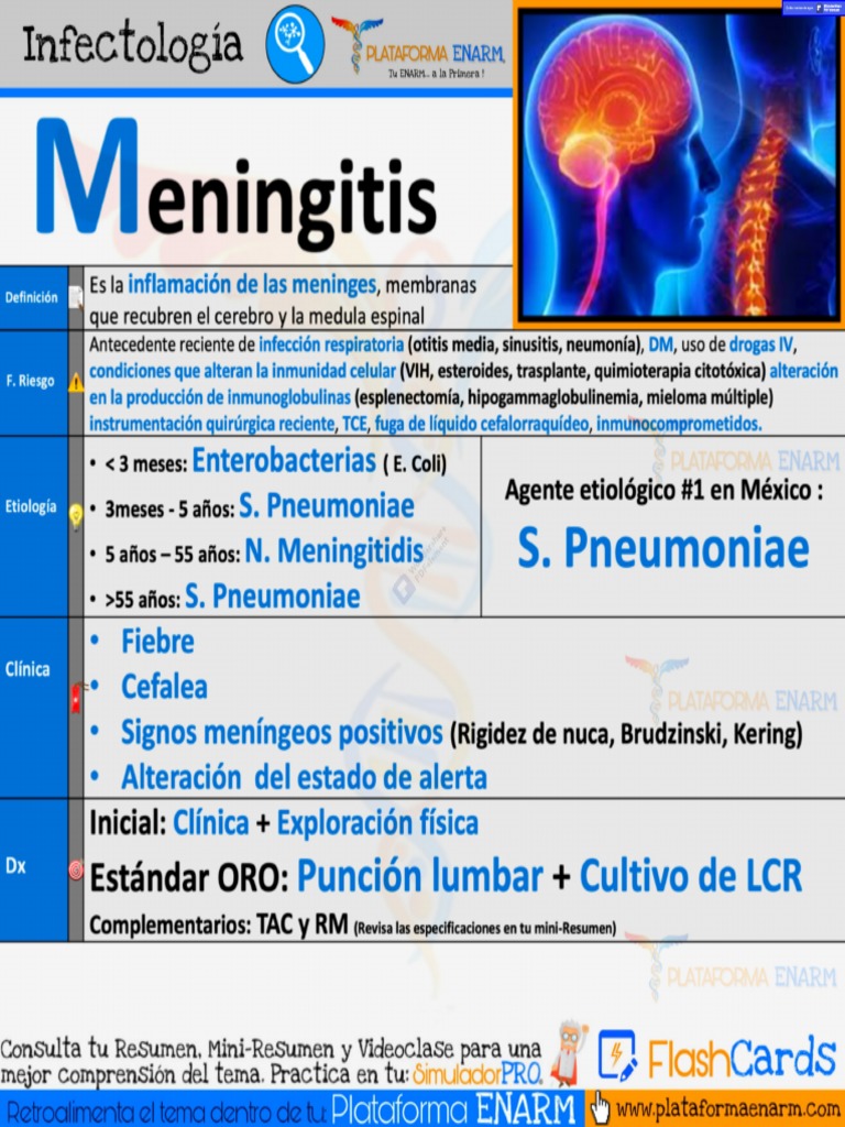1-Meningitis Flash-Card | PDF