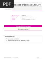 Dossier Professionnel : Modèle Word 2024 | PDF | Mise en page ...