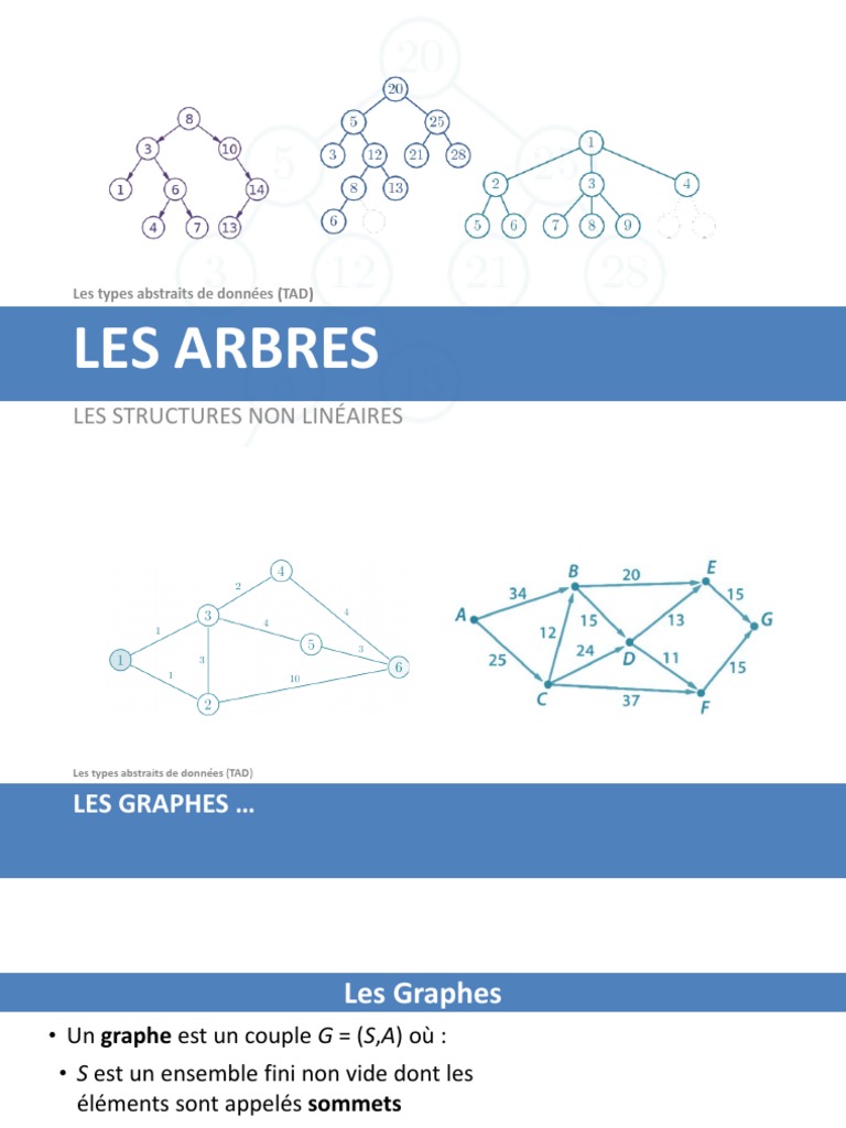 Introduction aux Graphes et Arbres | PDF | Théorie des graphes | Algorithmes et structures de ...