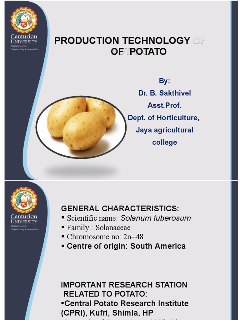 Potato | PDF | Science & Mathematics