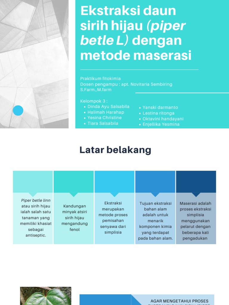 Ekstraksi Maserasi Kelompok 3 | PDF