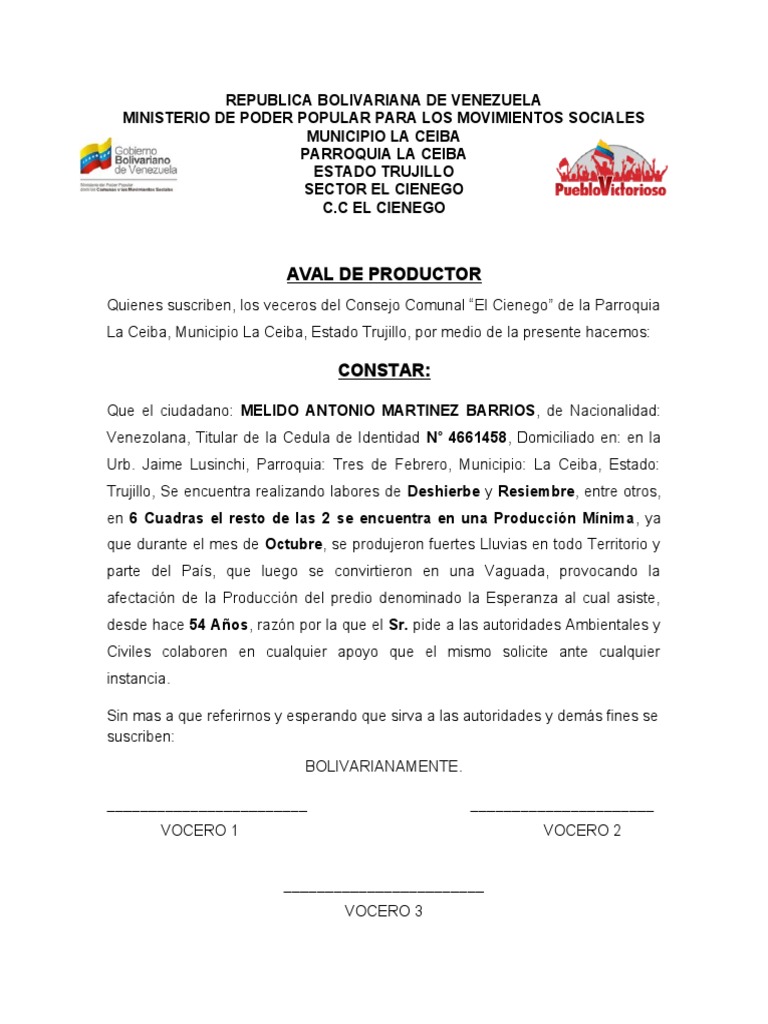 Aval de Produccion | PDF | Ciencias sociales | Hogar, jardinería y ...