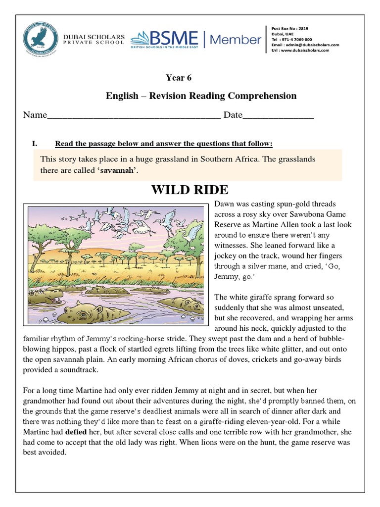 Y6 Reading Revision Sheet | PDF