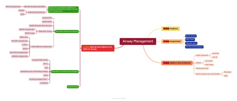 Airway Management Mindmap | PDF