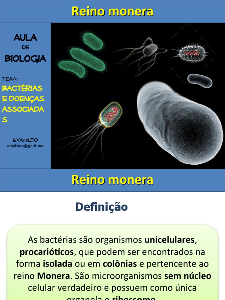 Reino monera | PDF | Célula (Biologia) | Bactérias