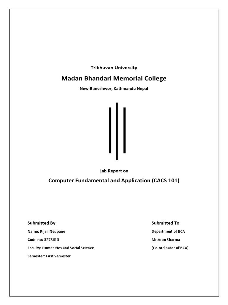 Computer Fundamentals Lab Report PDF | PDF | Microsoft Excel ...