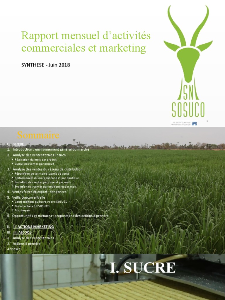 Rapport Mensuel Synthèse Juin 2018 | PDF | Commercialisation | Marchés ...
