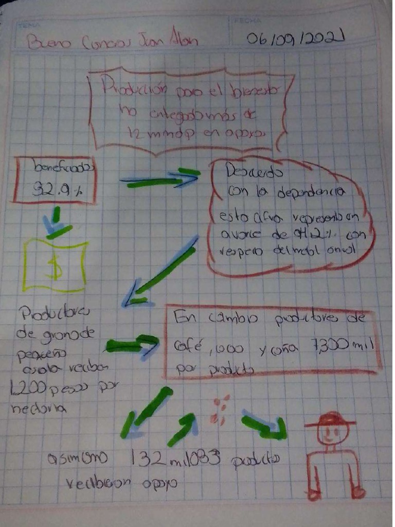 MAPA IRV Bueno Cisneros Juan Alan | PDF