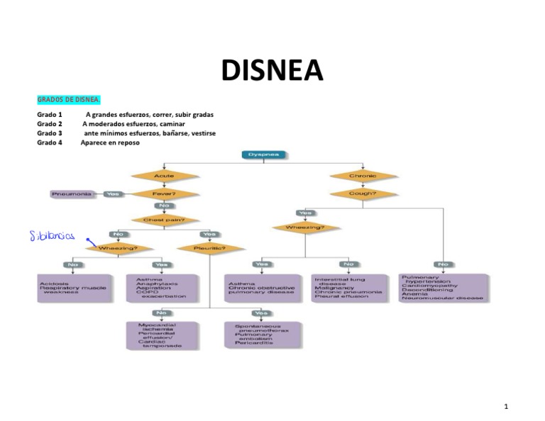 Grados de Disnea | PDF