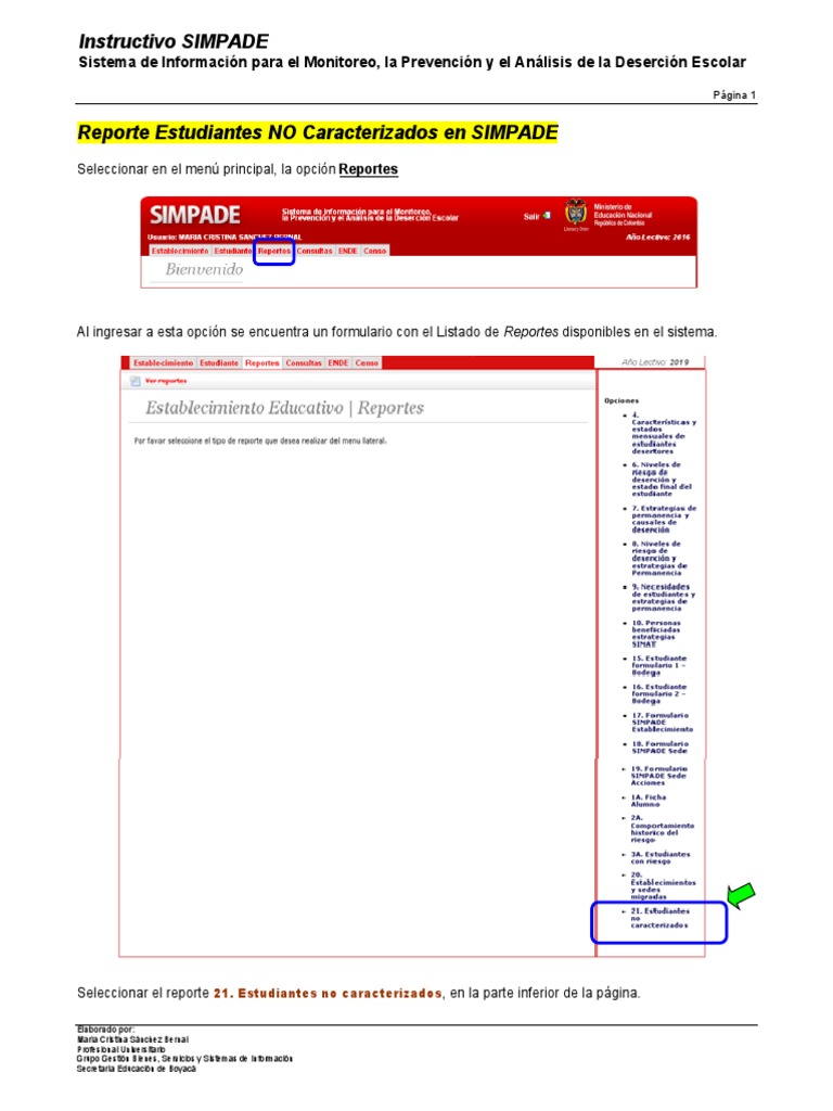 Instructivo SIMPADE - Reportes | PDF