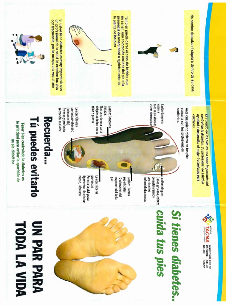 triptico pie diabetico | PDF triptico pie diabetico | PDF