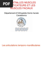 Anatomie du diaphragme stylien | PDF | Tête et cou chez l'humain ...