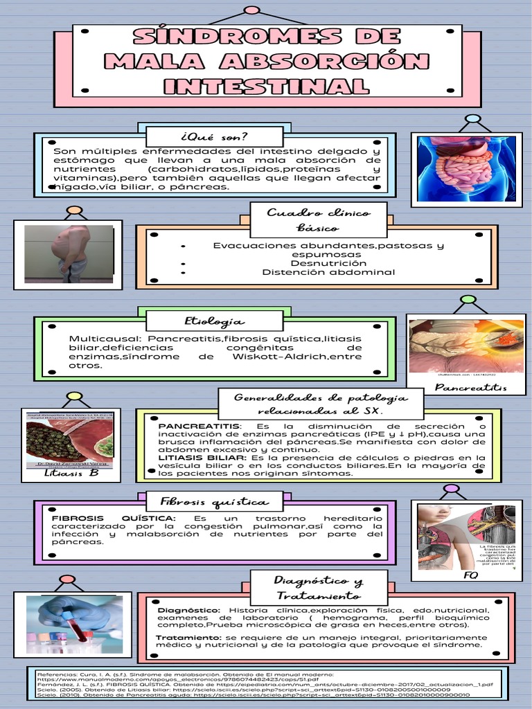 INFOGRAFÍA_SX.MALABSORCIÓN_ADRIANA_HERNÁNDEZ_GARCÍA_G.3CM9 | PDF ...