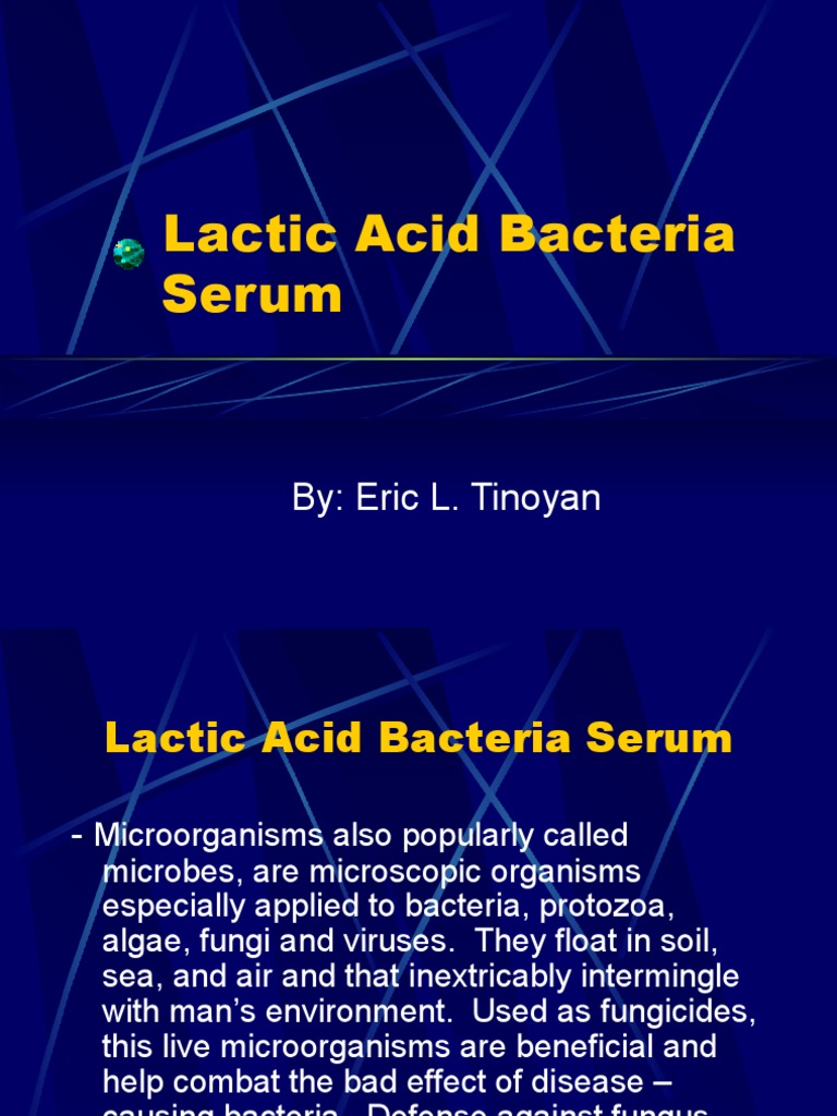 Lactic Acid Bacteria Serum | PDF | Microorganism | Bacteria