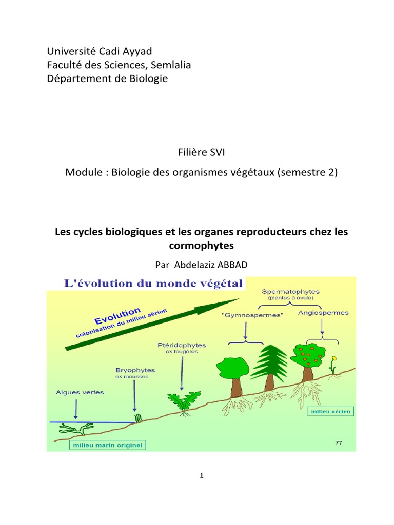 Cycles Biologiques Et Organes Reproducteurs Chez Les Cormophytes_Abbad ...