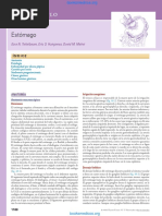 CAPÍTULO 17 - Prurigo Por Insectos (Cimiciasis) | PDF | Insecticida ...