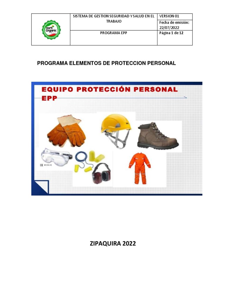 Programa Elementos de Proteccion Personal | PDF | Valores