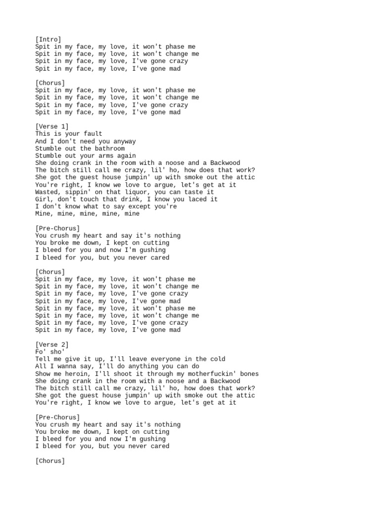 Spit in My Face Thxsomuch | PDF