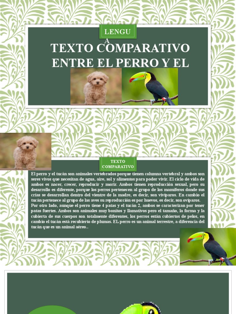 Texto Comparativo Perro y Tucán | PDF