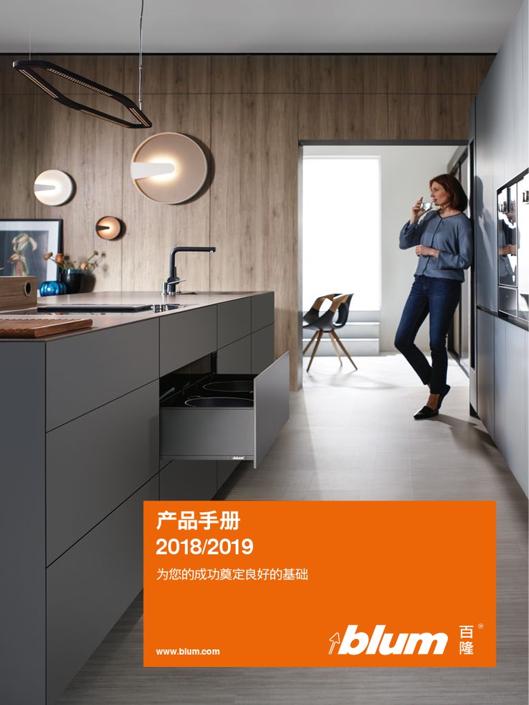 Blum Catalogue 2018-2019 | PDF