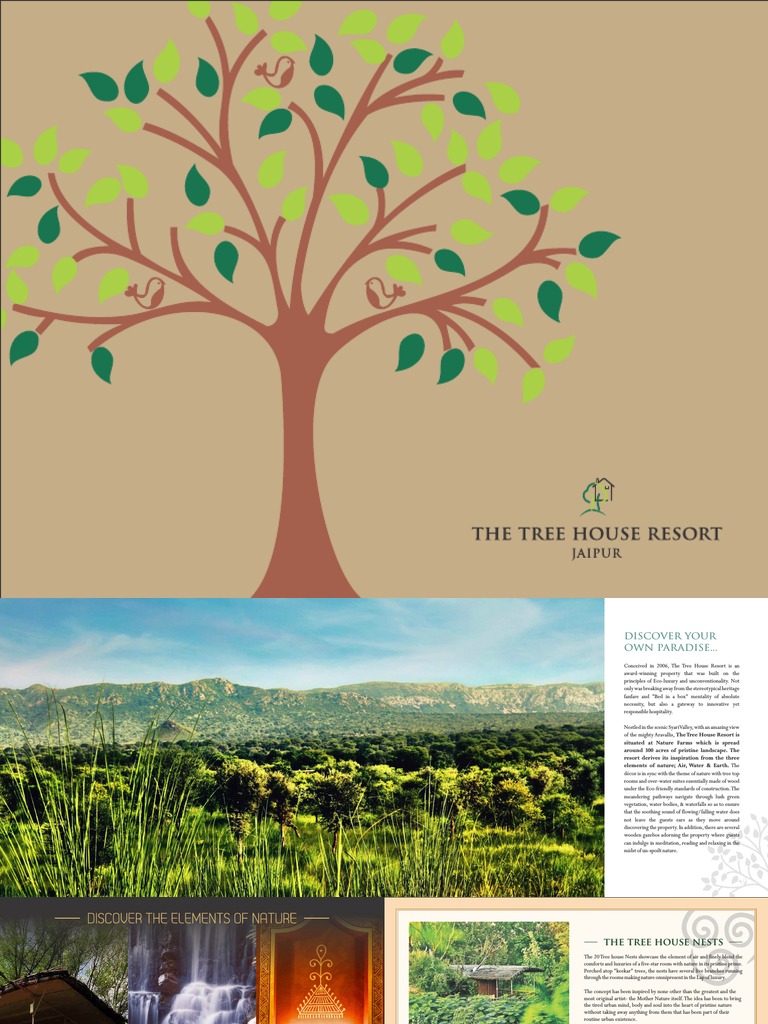 Tree House Brochure | PDF