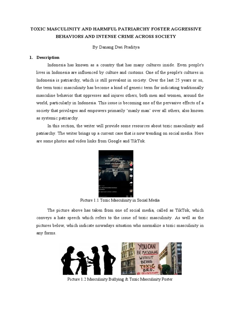 Toxic Masculinity and Harmful Patriarchy Foster Aggressive Behaviors and Intense Crime Across ...