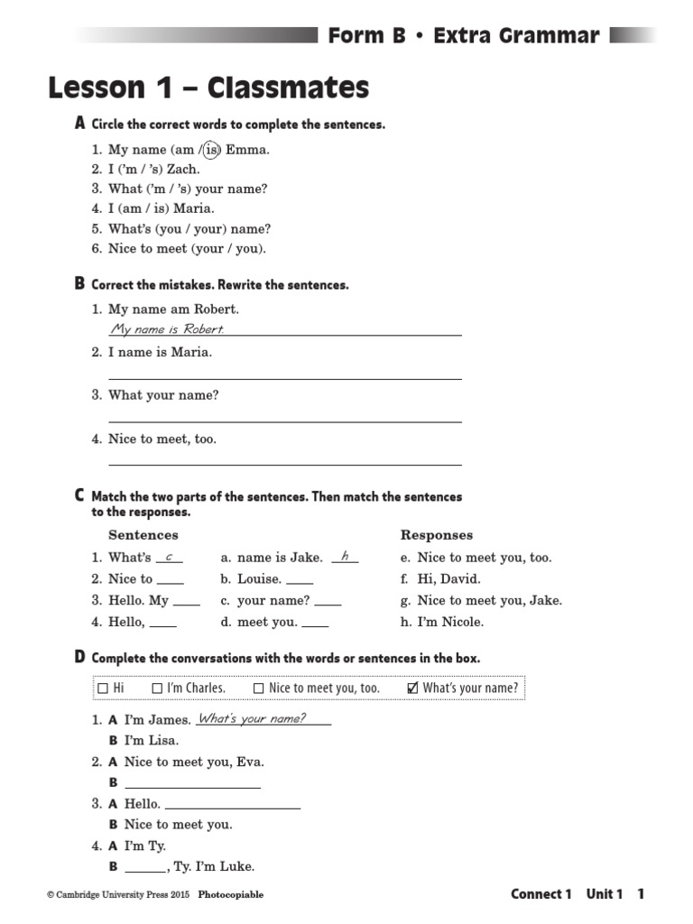 Beginner English Grammar Practice | PDF