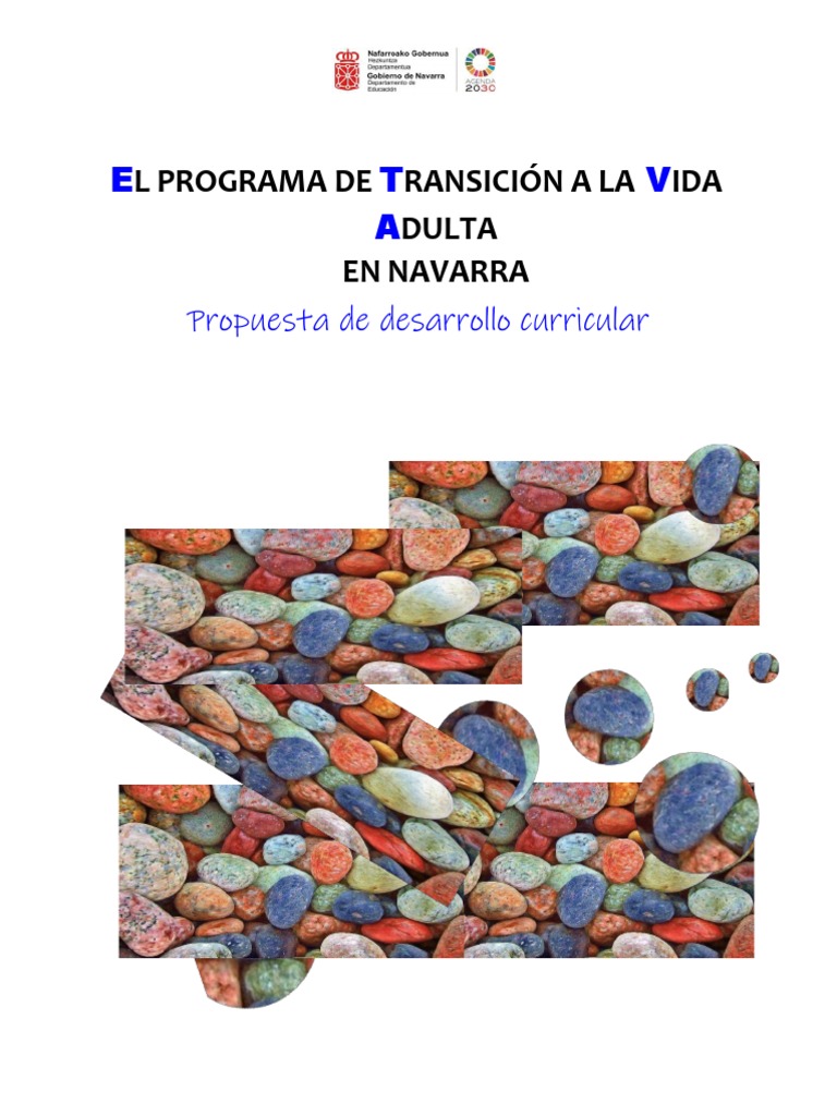 Programa de Transición A La Vida Adulta | PDF | Plan de estudios ...