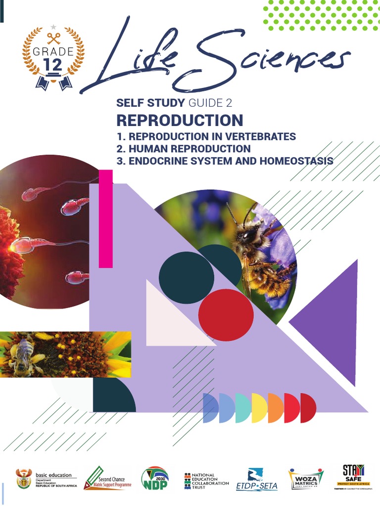 Life Sciences - Reproduction and Endocrine System and Homeostasis | PDF ...
