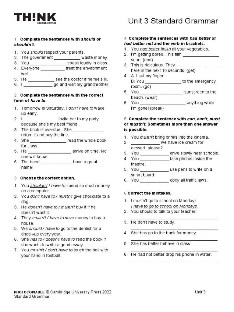 Thk2e BrE L3 Grammar Standard Unit 3 | PDF