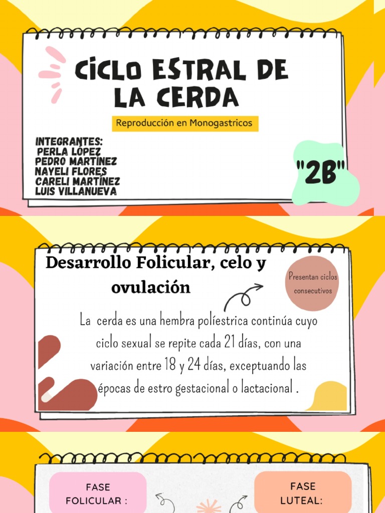 Ciclo Estral de La Cerda | PDF