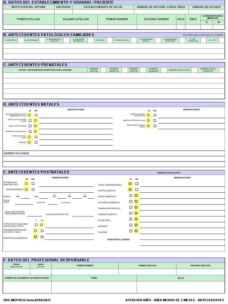 Instrucciones para llenar formulario 028 MSP | PDF | Causas de la ...