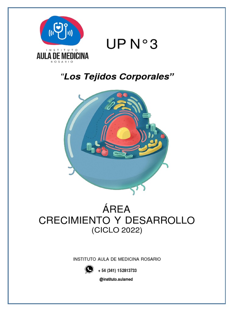 Up 03 Cyd | PDF | Epitelio | Hueso