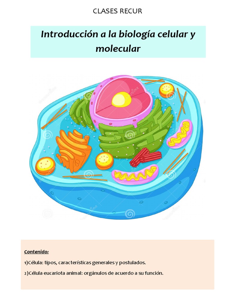 Introducción A La Biología Celular y Molecular. Clases Recur 01 | PDF | Biología Celular) | Ribosoma