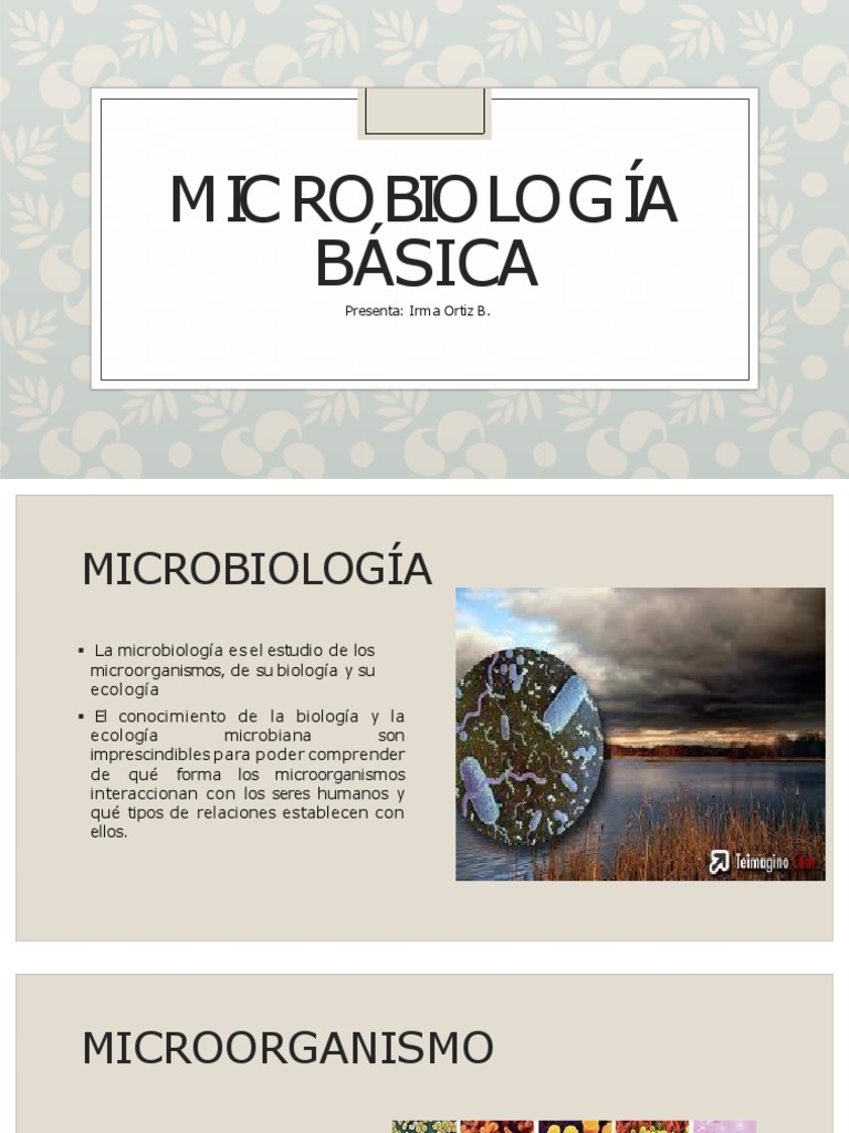 Microbiología Básica | PDF | Biología Celular) | Microorganismo