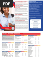 Federal Public Service Allowances Guide | PDF | Overtime | Salary